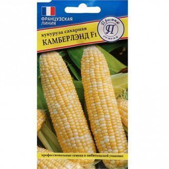Купить семена кукурузы питомник Гарден Класс – доставка почтой, СДЭК