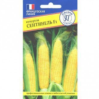 Купить семена кукурузы питомник Гарден Класс – доставка почтой, СДЭК