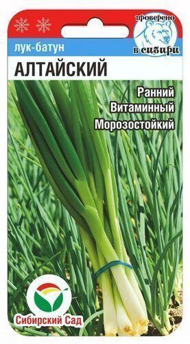 Лук батун Алтайский, семена – купить в питомнике Гарден Класс