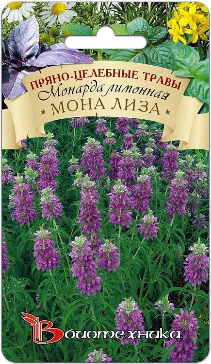 Монарда лимонная Мона Лиза, семена – купить в питомнике Гарден Класс