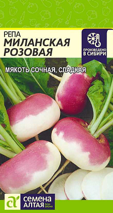 Купить семена репы питомник Гарден Класс – доставка почтой, СДЭК