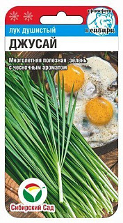 Лук репчатый Душистый Джусай, семена – купить в питомнике Гарден Класс